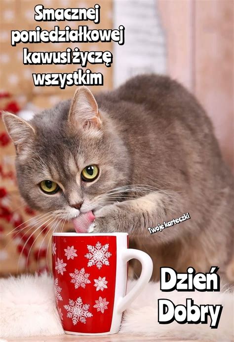 Dzie Dobry W Poniedzia Ek O Poranku Twoje Karteczki