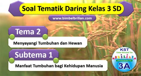 Soal Daring Kelas 3 Tema 2 SD Subtema 1 Manfaat Tumbuhan Bagi Kehidupan