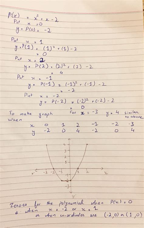 draw the graph of polynomial x² x 2