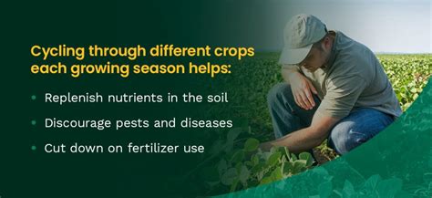 A Farmer S Guide To Crop Rotation CropCare