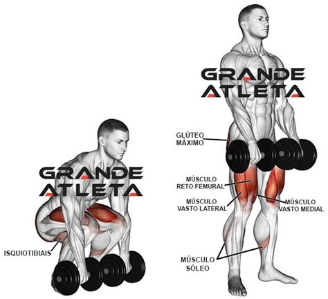 21 Exercícios para fazer em casa Treino Completo Halteres