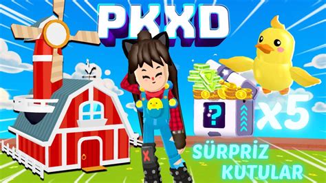 PK XD ÇİFTLİK SEZONU 5 ADET SÜRPRİZ KUTUNUN YERİ PK XD YENİ