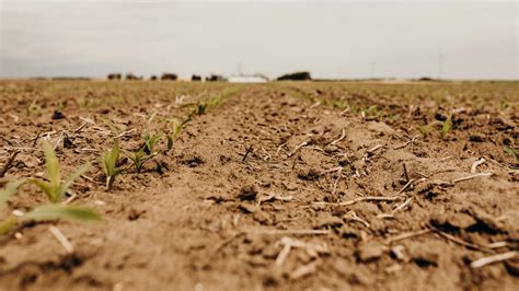 How Does The Crop Rotation Work Storables