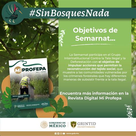 SEMARNAT México on Twitter La Semarnat y la PROFEPA Mx participamos