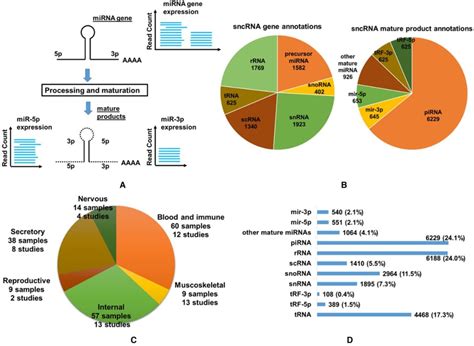 dashr a database of small human noncoding rnas rna seq blog