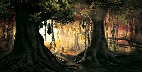 Papel De Parede Luz Solar Rvores Panorama Floresta Natureza
