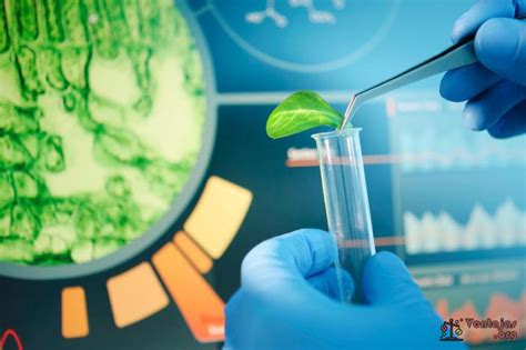 Ventajas y Desventajas de la Biotecnología Pros y Contras