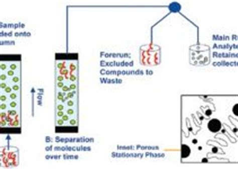Ion Exchange Chromatography Principle Method Applications