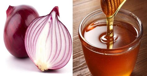 Remède naturel pour réduire la bronchite l asthme et la toux NewsMAG