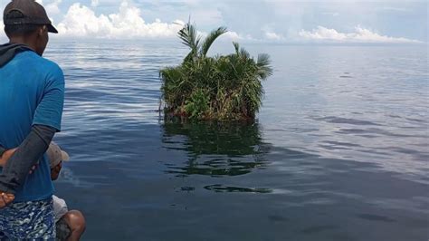 Fishermen Discover Smallest Island In The World In Indonesia