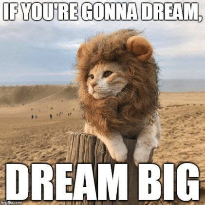 Encouragement Memes That Will Surely Lift Your Spirits
