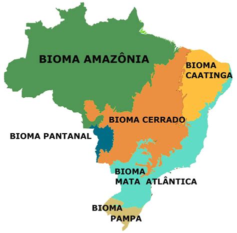 Biomas brasileiros Resumo mapa quais são tipos fauna e flora