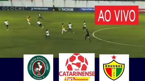 CONCORDIA X BRUSQUE AO VIVO I CAMPEONATO CATARINENSE 2024 ASSISTA HOJE