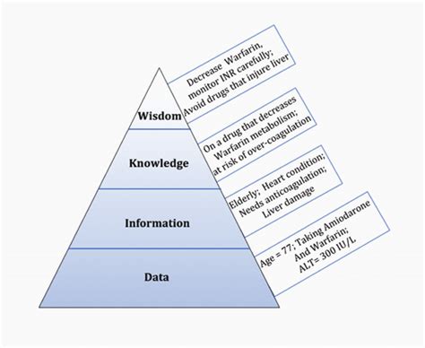 Knowledge Hierarchy Triangle Diagram DIKW Pyramid Diagram 53 OFF