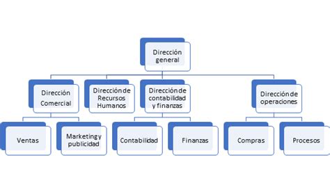Qué es la estructura organizacional Importancia tipos y ejemplo