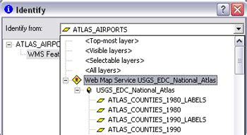 Using WMS Service LayersArcMap Documentation