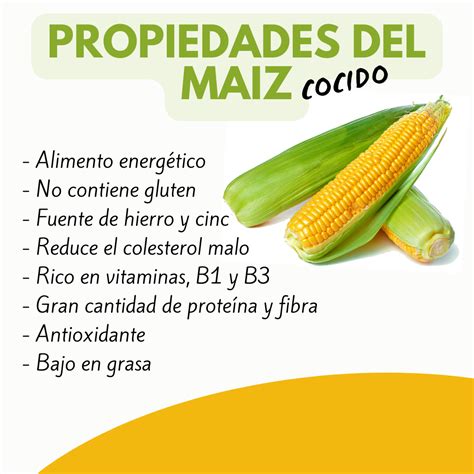 Aprender Acerca 121 Imagen Beneficios Del Elote Abzlocal Mx