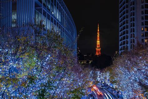 The Greatest Locations to See Autumn Leaves in Tokyo いろいろジャポン 無断複写転載