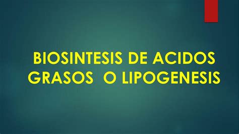 Biosíntesis de Ácidos Grasos o Lipogénesis JPaul HAsto uDocz