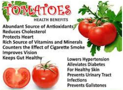 The Benefits Of Eating Tomatoes For Health HEALTH