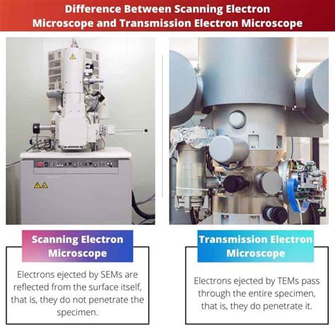 Scanning Electron Microscope Image Analysis At Eleanor Ball Blog