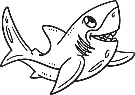 bebé gran tiburón blanco aislado página para colorear 17197812 Vector