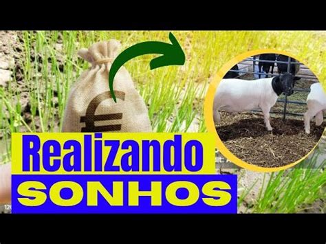 É possível ficar rico criação de carneiro YouTube