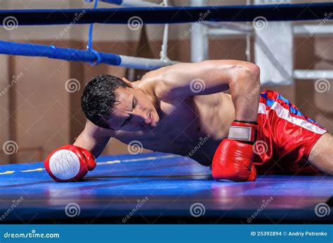 Boxer Lying Knocked Out In A Boxing Ring Stock Photo CartoonDealer