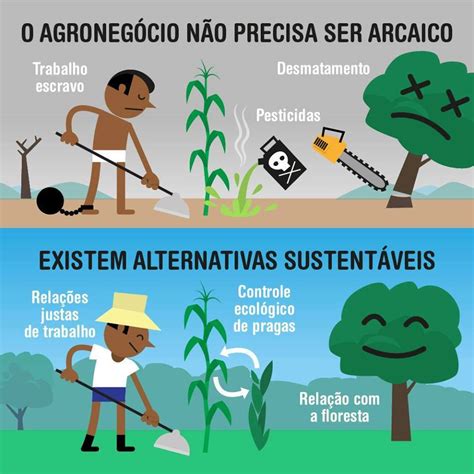 Biboca Ambiental Saiba O Que E Como Funciona Um Sistema Agroflorestal