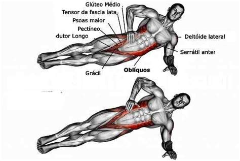 O que são exercícios isométricos Exercícios isométricos são movimentos