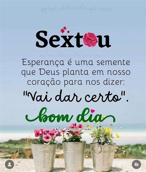 Sexta feira Frase Sextou Esperança é uma semente que Deus planta em