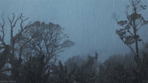 3 Hours Of Heavy Rain Thunder Rain Sounds For Sleeping Blue Screen