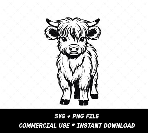 Baby Highland Cow SVG Highland Cow PNG SVG Files For Cricut Etsy