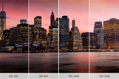 ISO In Photography Guide For Beginners