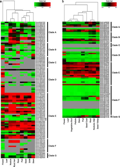 Hierarchical Clustering And Heat Map Generated By Cluster Showing