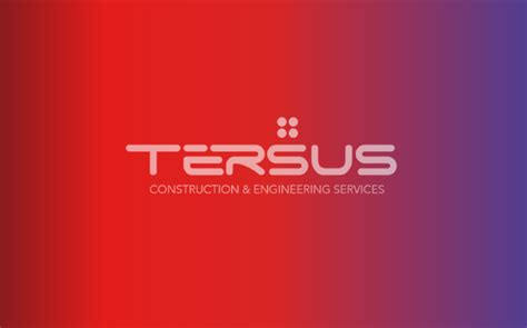 Tersus Limited Rhics It Management Consultancy