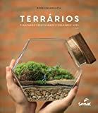 Terrário De Suculentas Faça Um Mini Jardim Encantador