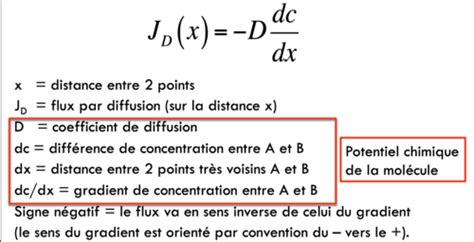 Ntroduire 101 Imagen Potentiel Chimique Formule Fr Thptnganamst Edu Vn