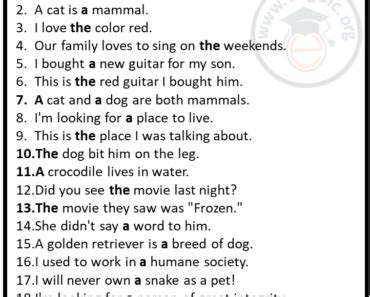 20 Sentences Using Articles EngDic