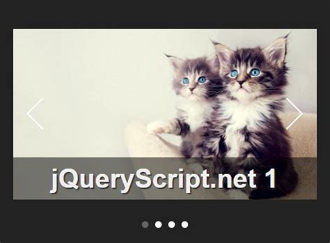 Easy Responsive Image Carousel Slider Plugin Jquery Skyslider