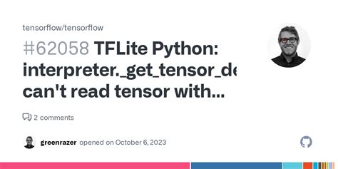 TFLite Python Interpreter Get Tensor Details Index Can T Read Tensor