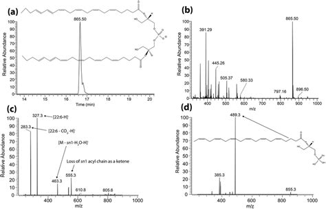 lc ms data from abca4 − − folch extracted retina homogenate with download scientific diagram