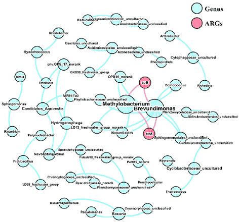 Network Analysis Revealing The Co Occurrence Patterns Among ARG