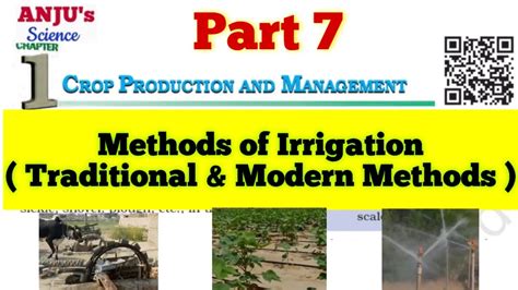 Methods Of Irrigation Traditional Methods Modern Methods Class