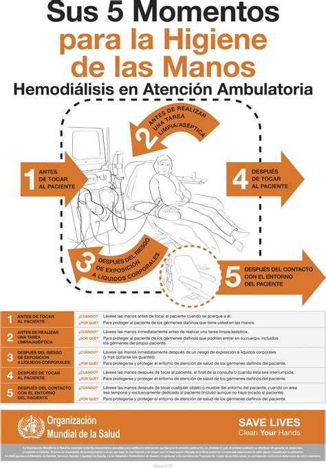 Estos Son Los Momentos Para La Higiene De Las Manos Themelower