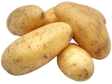 Pomme de terre Monalisa présentation usages en cuisine et culture