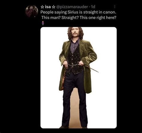 Sirius Black Gay Harry Potter Harry Potter Marauders Harry Potter Memes