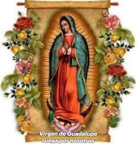 Virgen De Guadalupe Ruega Por Nosotros Nossa Senhora De Guadalupe