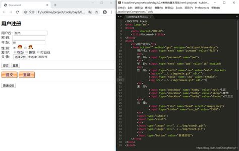 html之（表单的常用标签） 使用 html标签定义表单结构 csdn博客