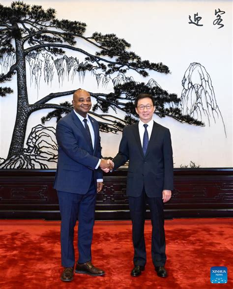 Vice presidente chinês reúne se chanceler colombiano Xinhua